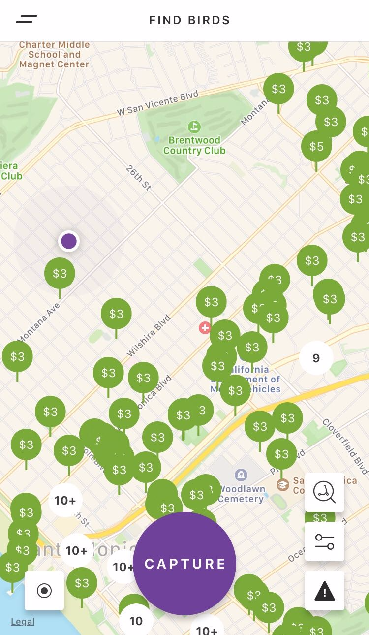 How to Find Birds – Bird